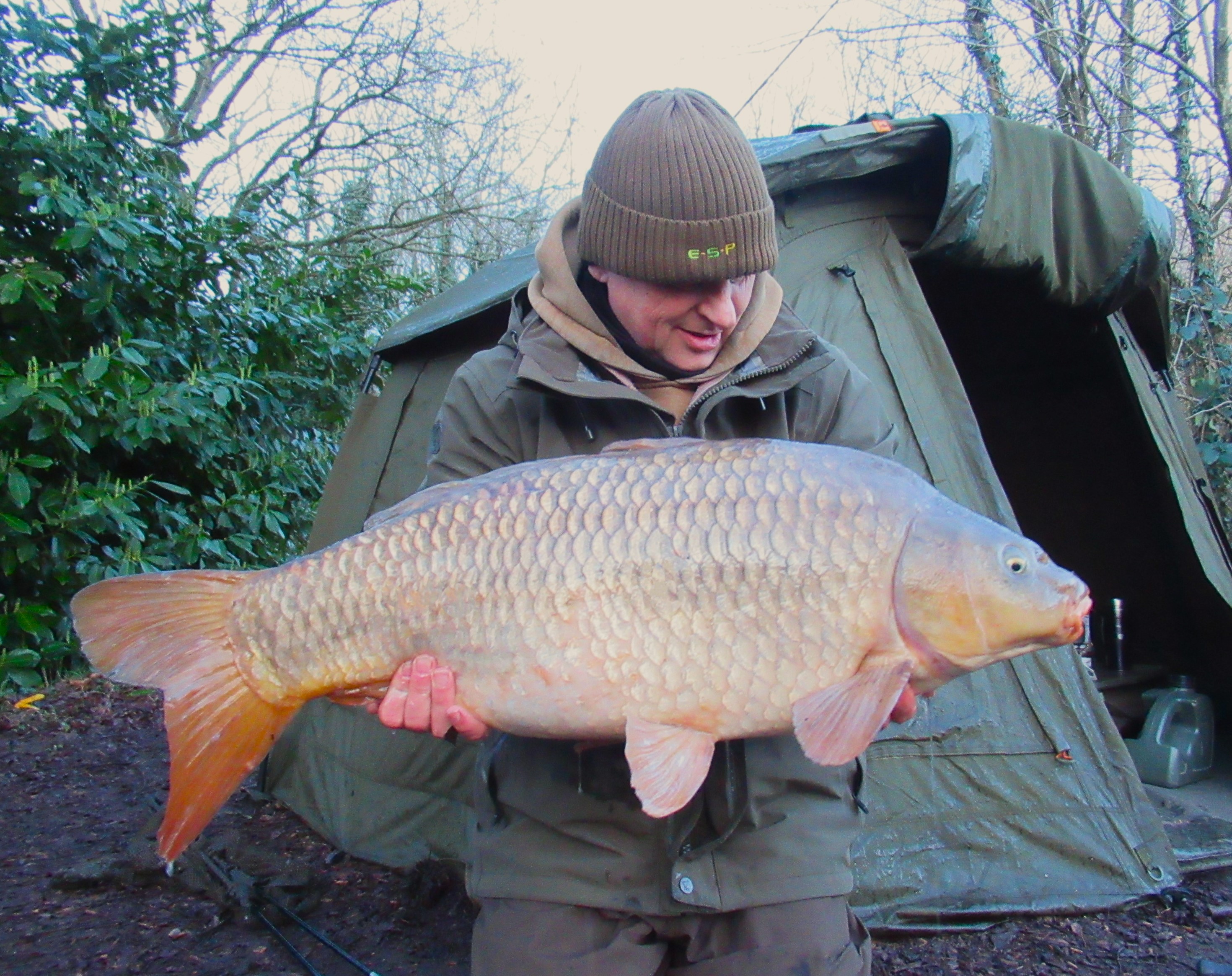 Early morning Common | Total Carp